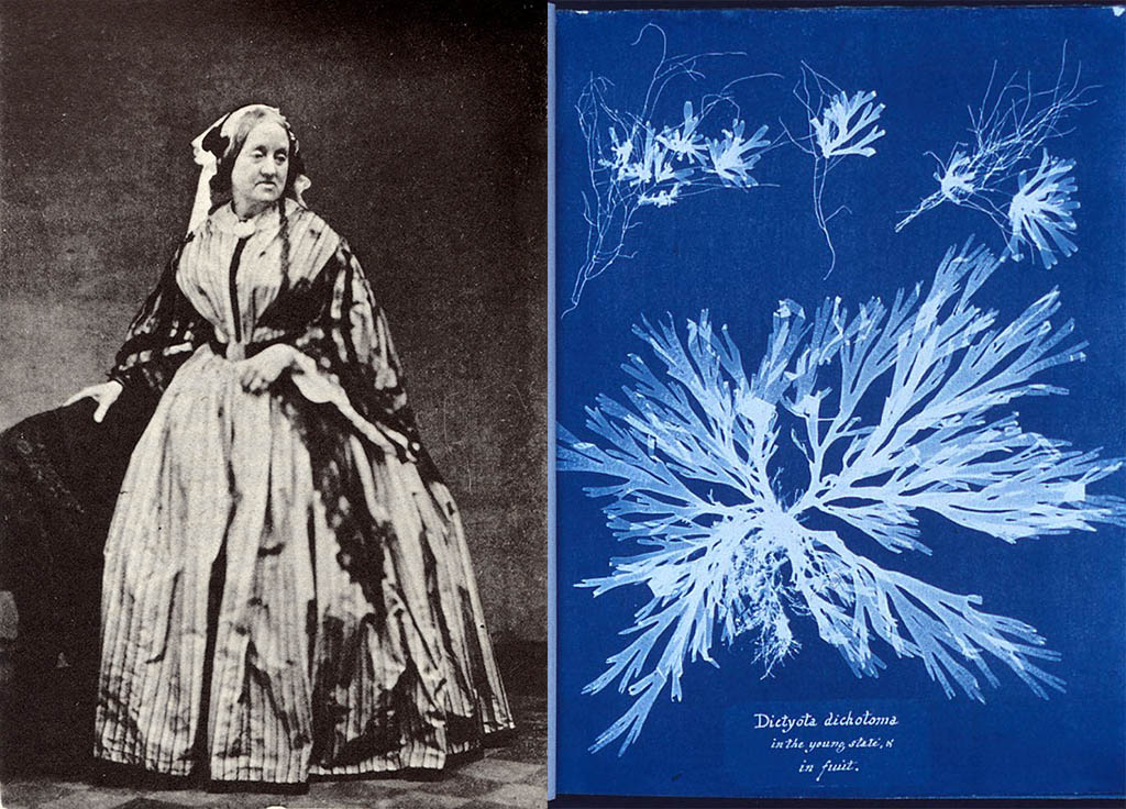 Née un 16 mars : la photographe britannique Anna Atkins - 9 Lives Magazine