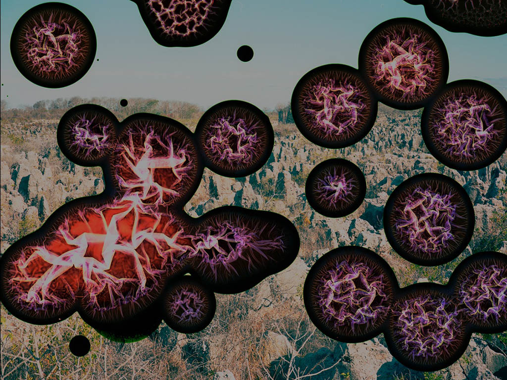 Manon Lanjouère et Richard Pak - 9 Lives Magazine