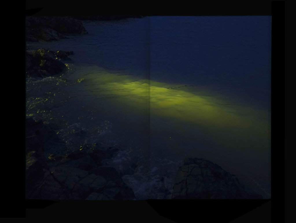 Algues maudites, a Sea of Tears, une œuvre d'anticipation d'Alice ...