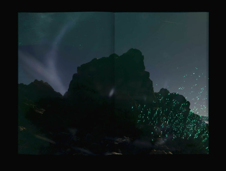 Algues maudites, a Sea of Tears, une œuvre d'anticipation d'Alice ...