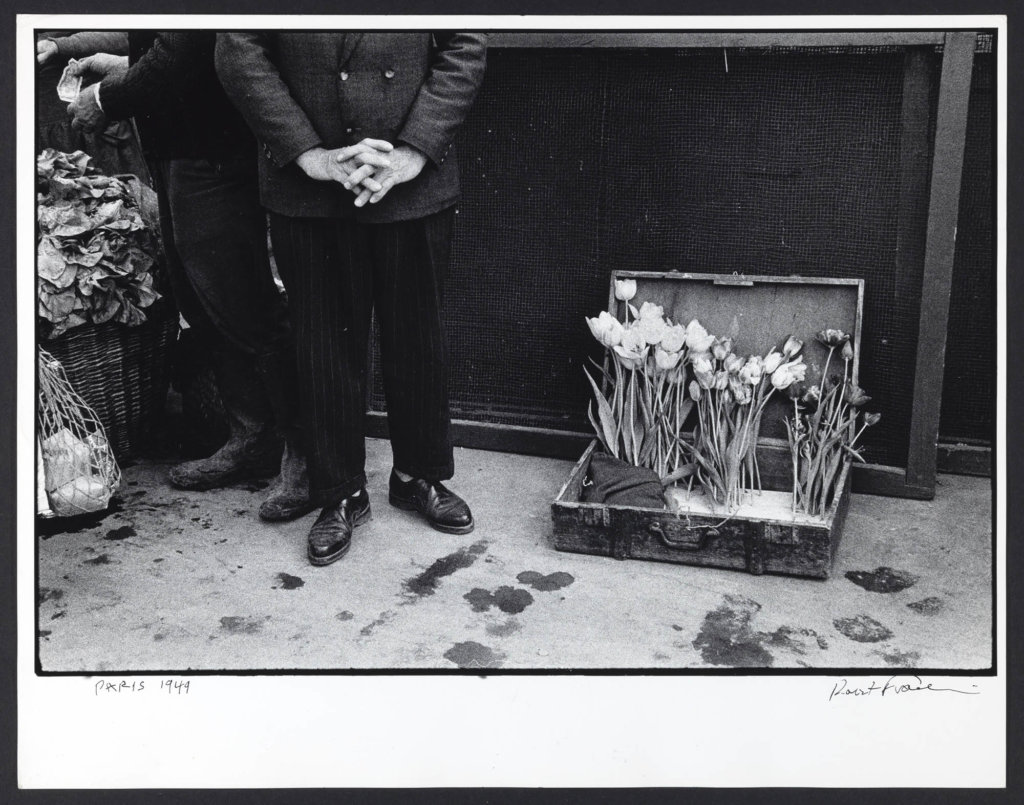 Carte blanche à Carole Naggar : Mary’s Book de Robert Frank - 9 Lives ...